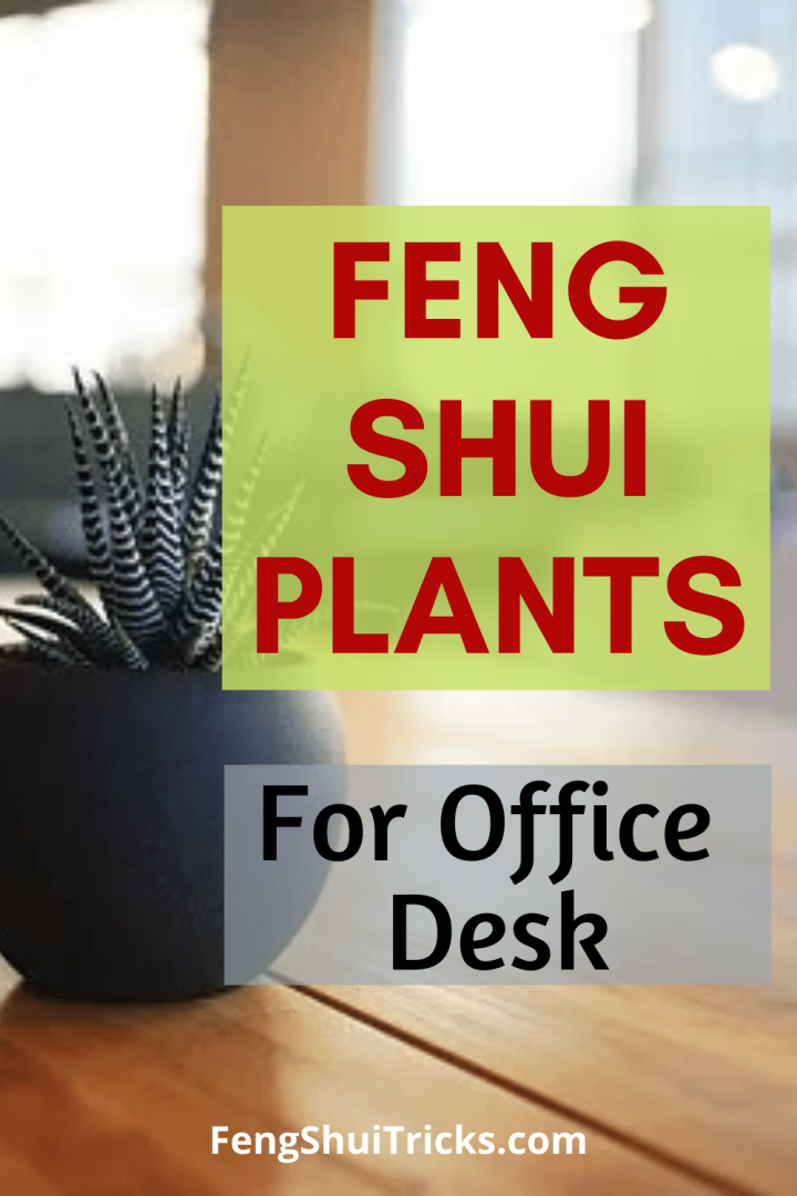 21 Feng Shui Plants For Office & Business Success (2026)