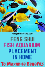 15 Feng Shui Fish Tank Placement, Direction Tips For Wealth