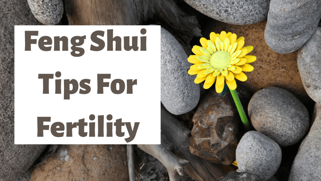 Feng Shui Symbol Of Phoenix Bird: Meaning, Placement Tips