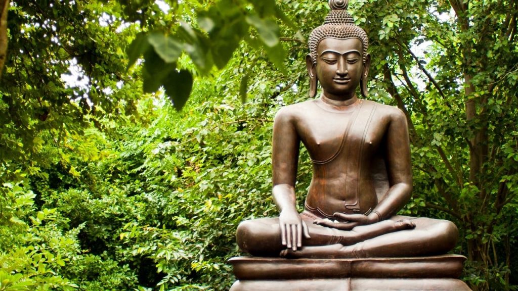 Feng Shui Seashells: Meaning + Placement Tips For Good Luck