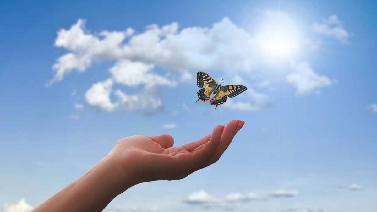 2026 Feng Shui Butterfly Symbolism, Energy & Placement Tips