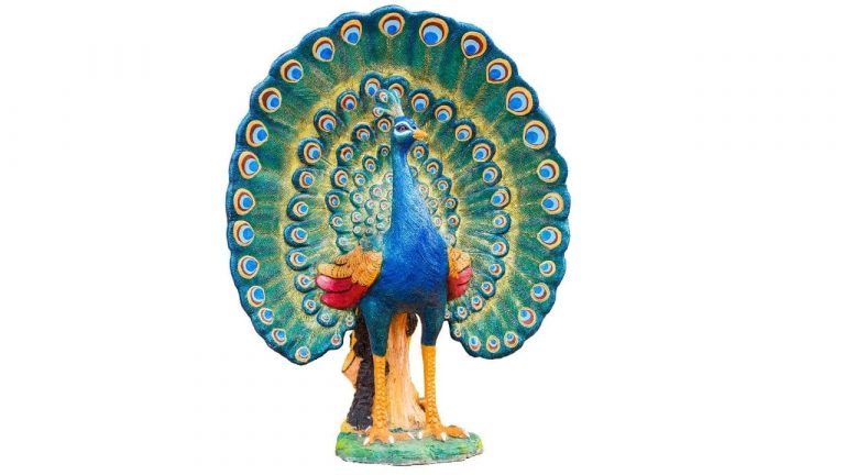 Best 15 Lucky Birds In Feng Shui And Placement Tips