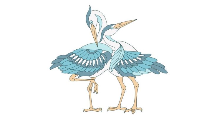 Best 15 Lucky Birds In Feng Shui And Placement Tips