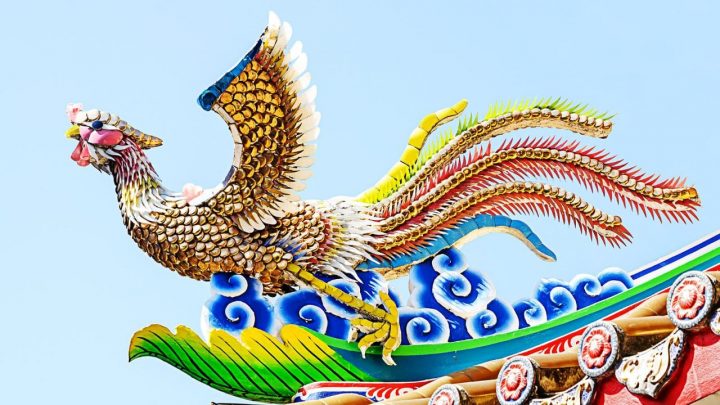 Feng Shui Symbol Of Phoenix Bird: Meaning, Placement Tips