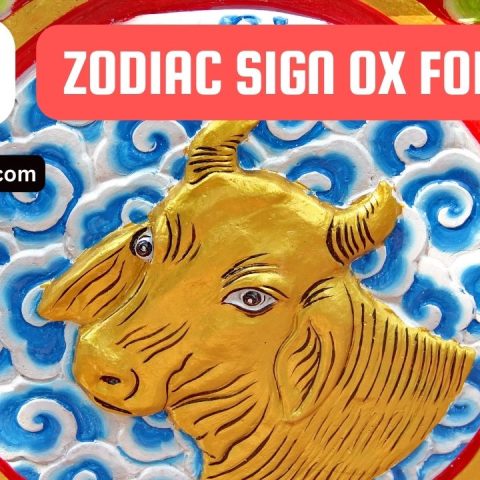 Overall Rabbit Chinese Zodiac Animal Sign Forecast 2024