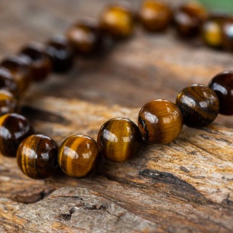 How To Feng Shui Southeast Corner: 15 Ways To Activate