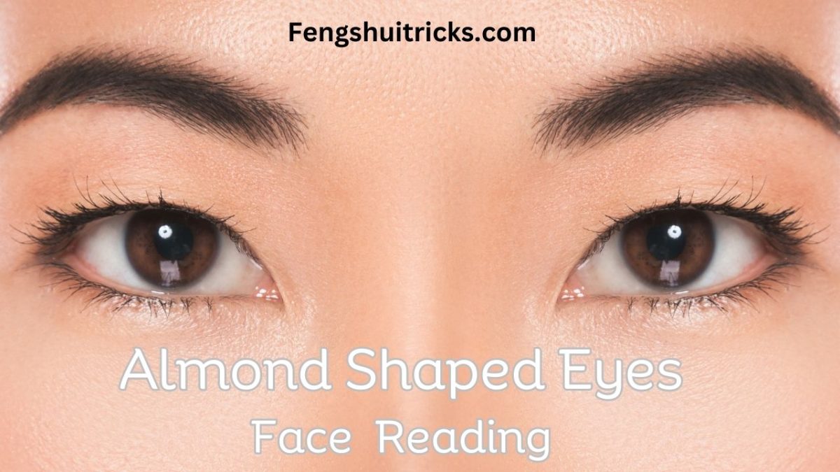 15 Almond Shaped Eyes Face Reading For (Male + Female)
