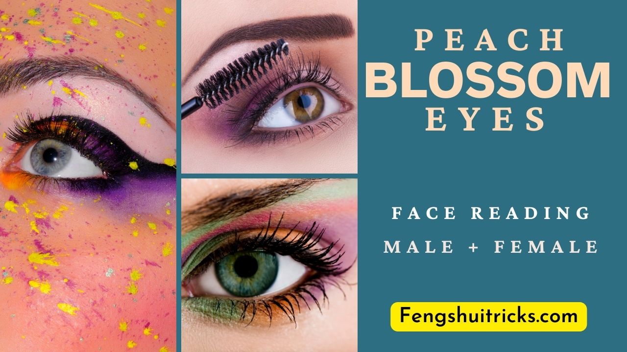13 Peach Blossom Eyes Shape: Male + Female Face Reading
