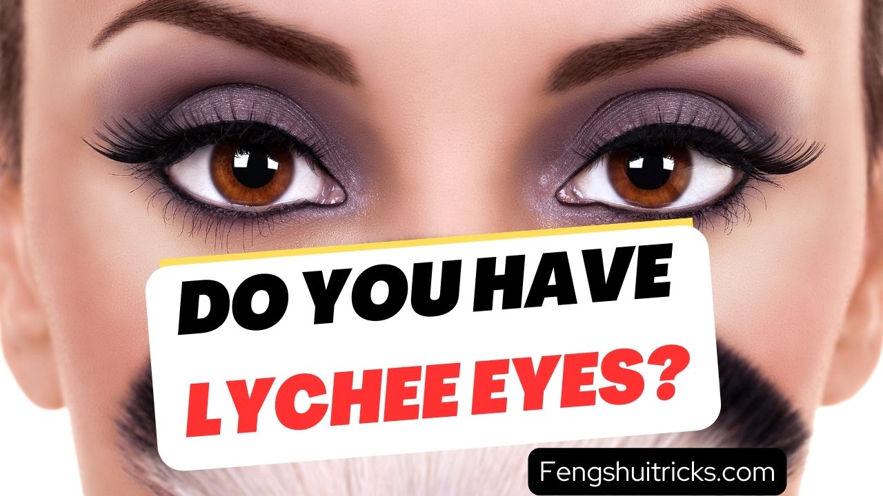Lychee Eyes Shape: 15 Face Reading For (Male + Female)
