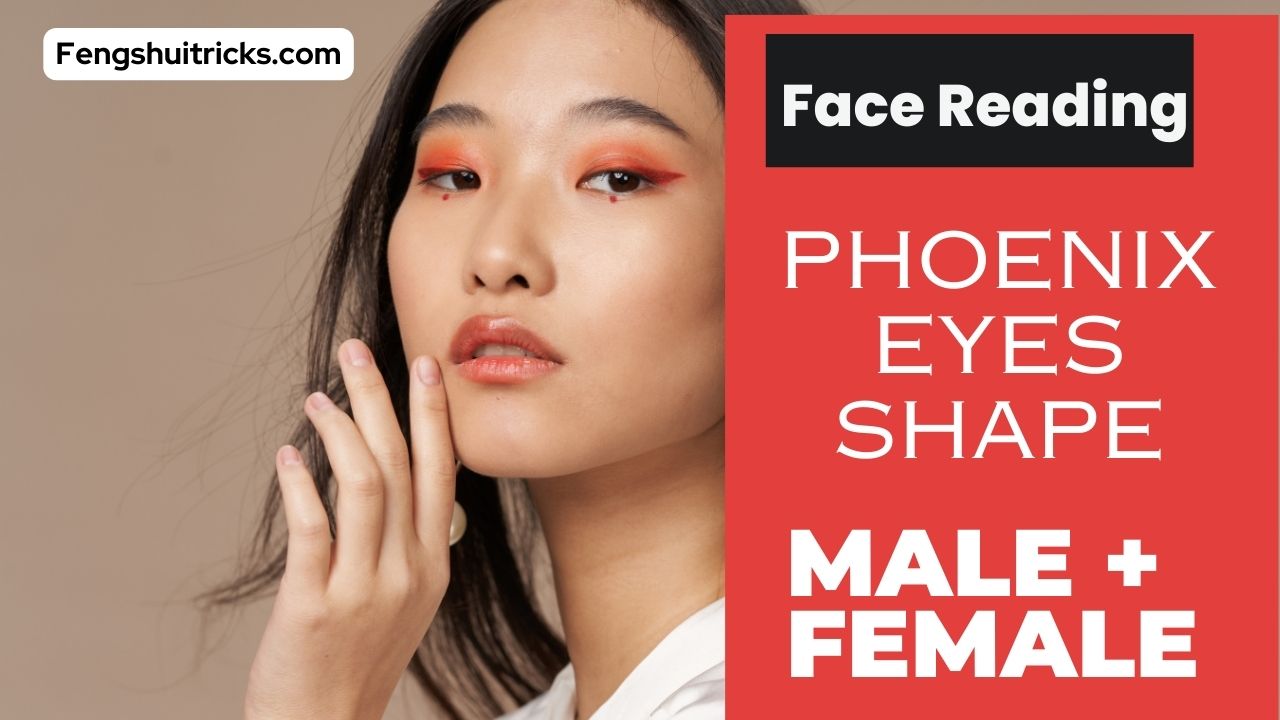 15 Phoenix Eyes Shape Face Reading For (Male + Female)