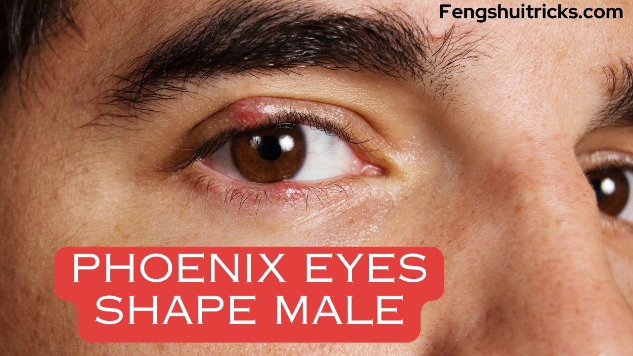 15 Phoenix Eyes Shape Face Reading For (Male + Female)