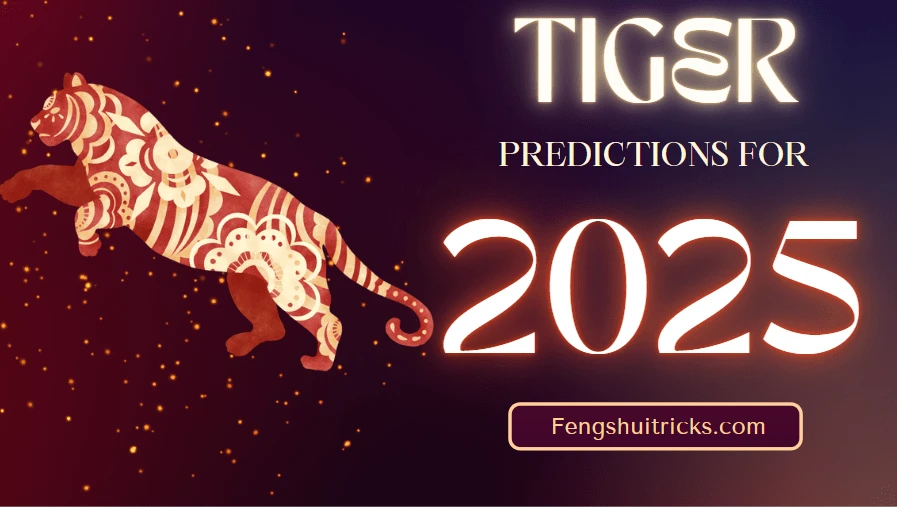 2025 Complete Tiger Chinese Zodiac Animal Sign Forecast