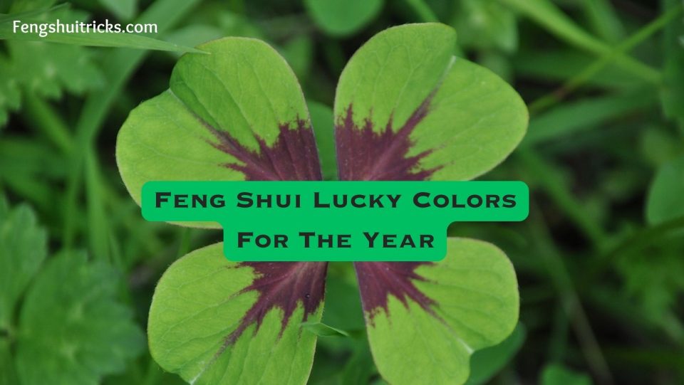 7 Lucky Colors For The Year Of Horse (2026) Feng Shui