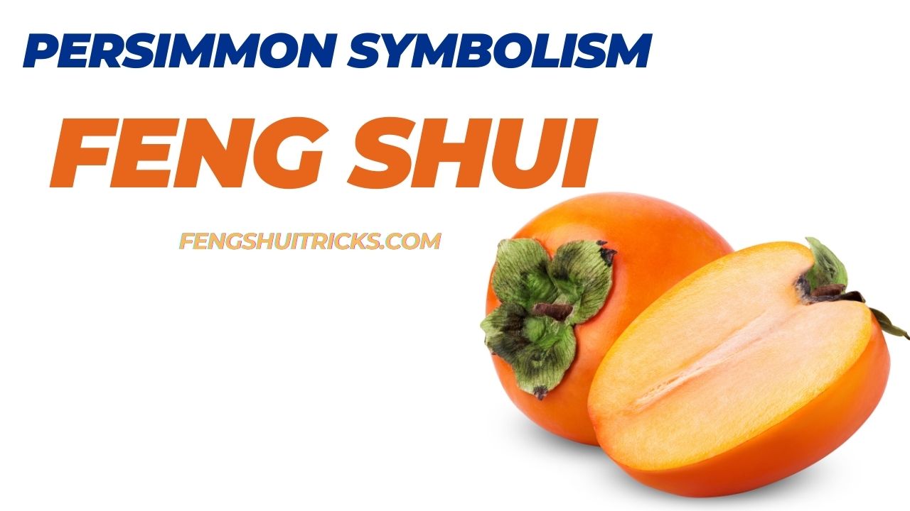 Persimmon Symbolism Feng Shui (15 Wealth Building Tips)