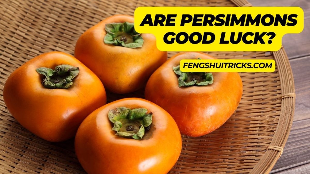 Persimmon Symbolism Feng Shui (15 Wealth Building Tips)