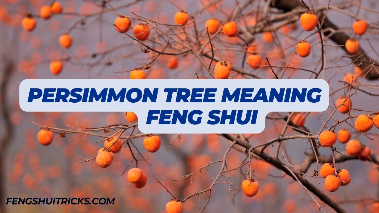 Persimmon Symbolism Feng Shui (15 Wealth Building Tips)