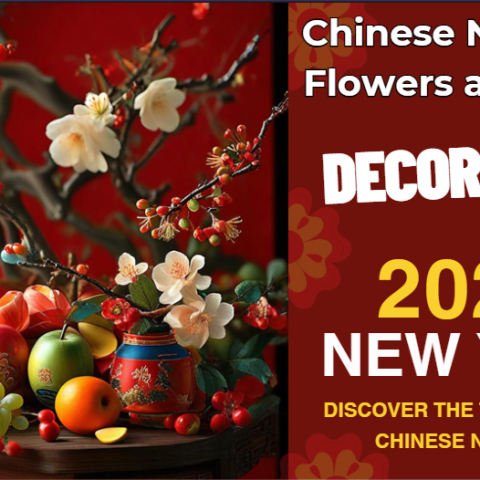 17 Feng Shui Lucky Food For New Year Celebration 2025