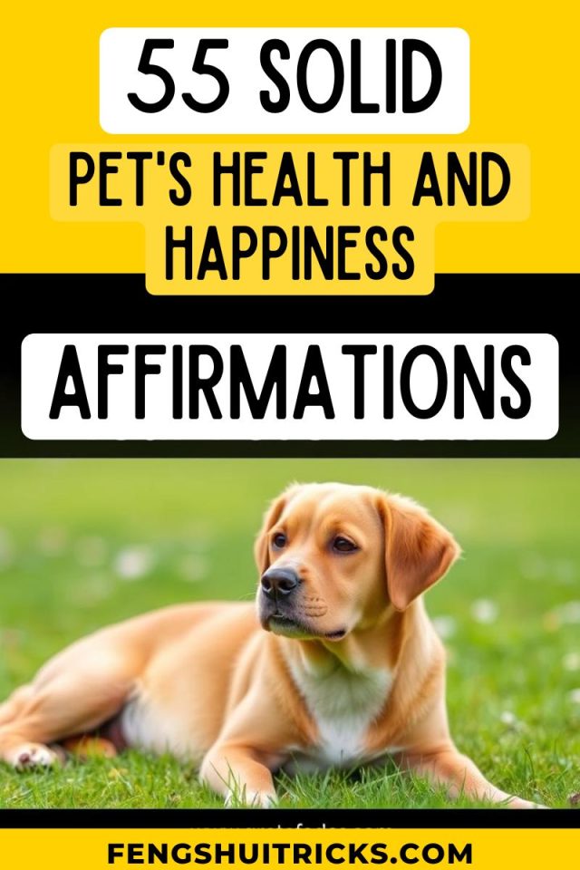 55 Solid Affirmations For Pets Health And Happiness (2025)